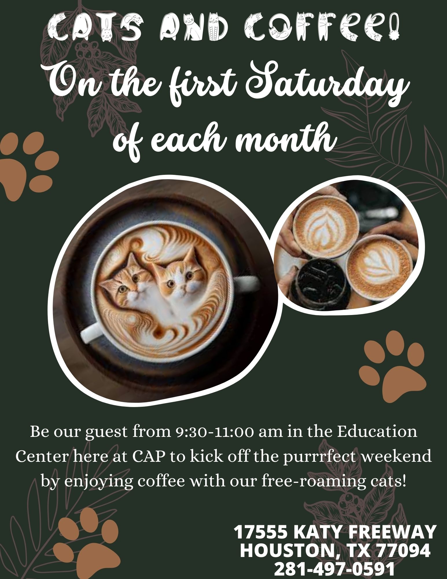 Cats & Coffee 2/3/2024-Volunteer Events